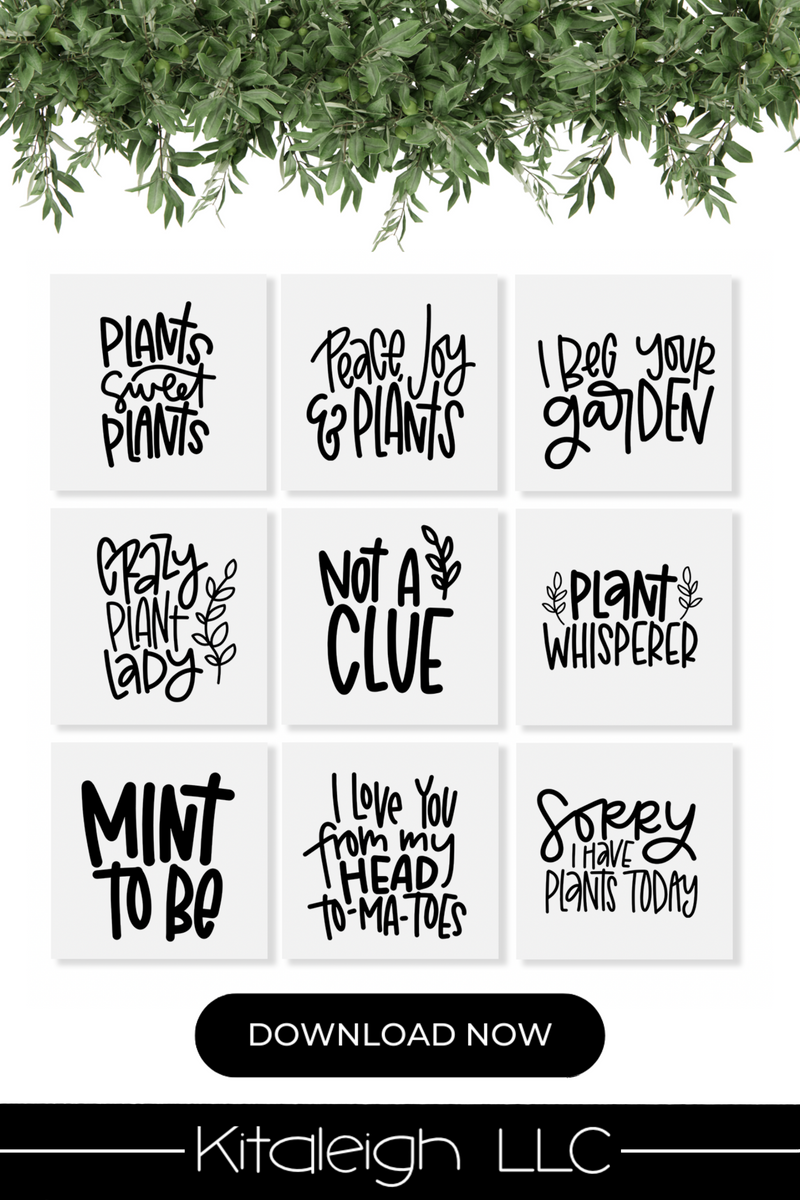 Hand Lettered Plant Quotes Vol 6 – Kitaleigh LLC