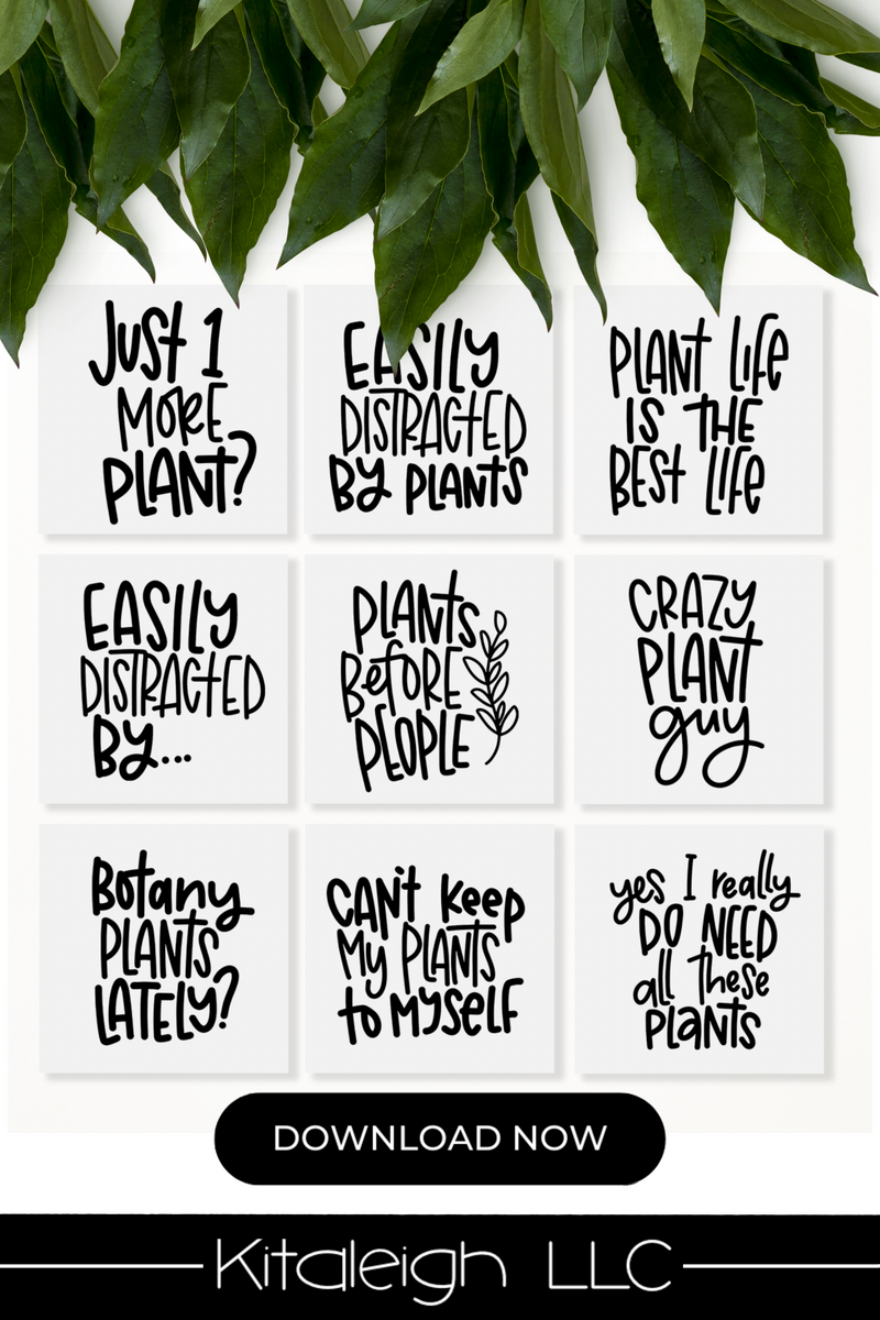 Hand Lettered Plant Quotes Vol 9 – Kitaleigh LLC